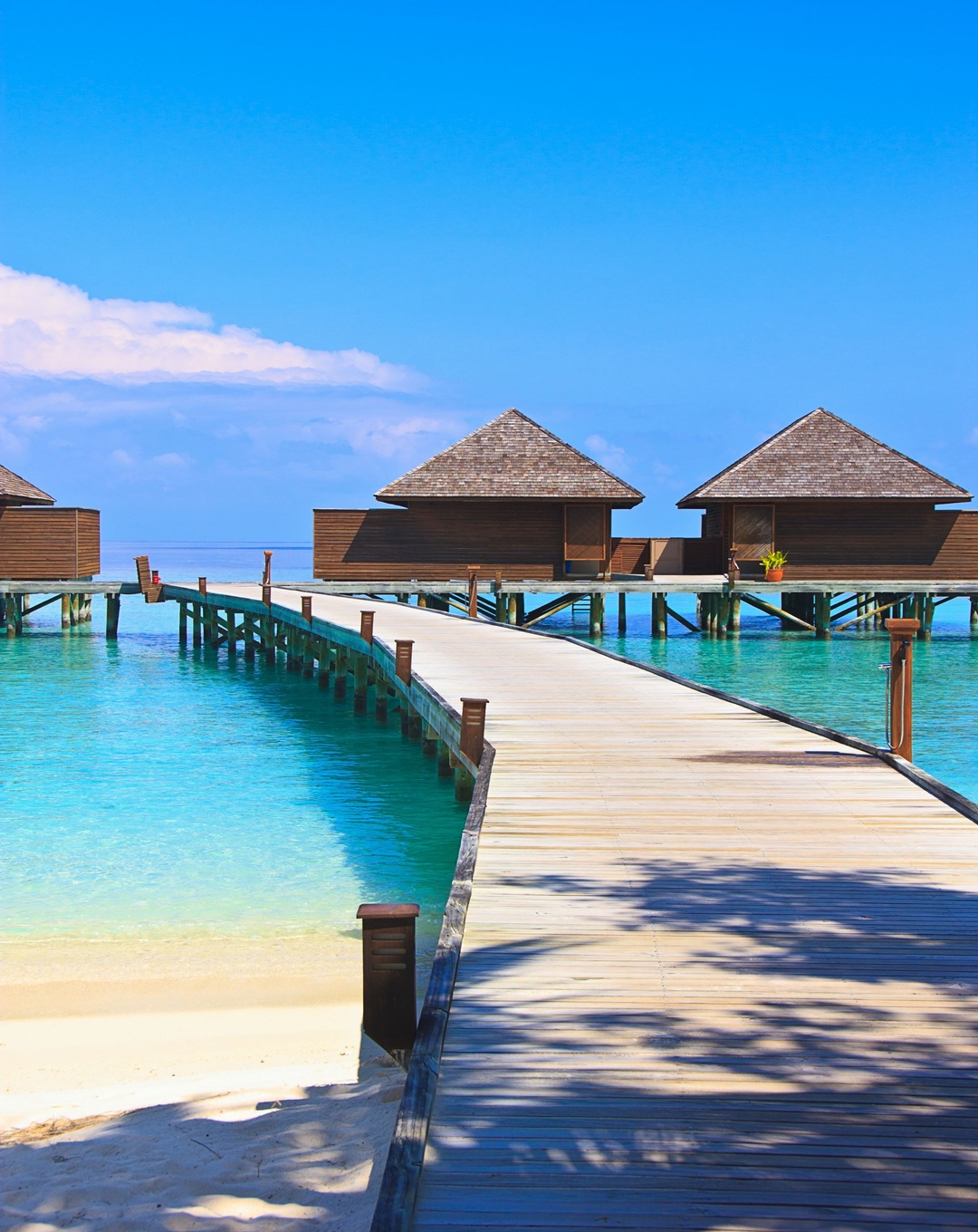 Holidays@ToursOnBoard.com